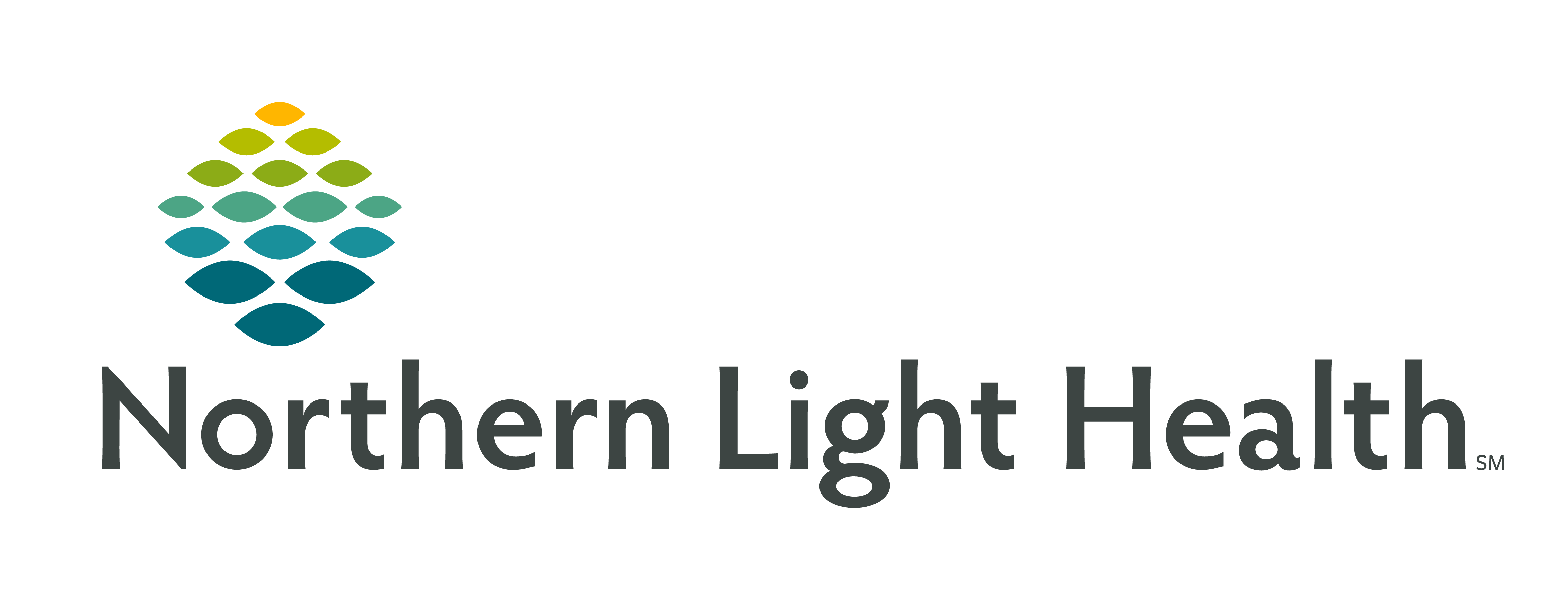 Northern Light Health Wizard Record Request